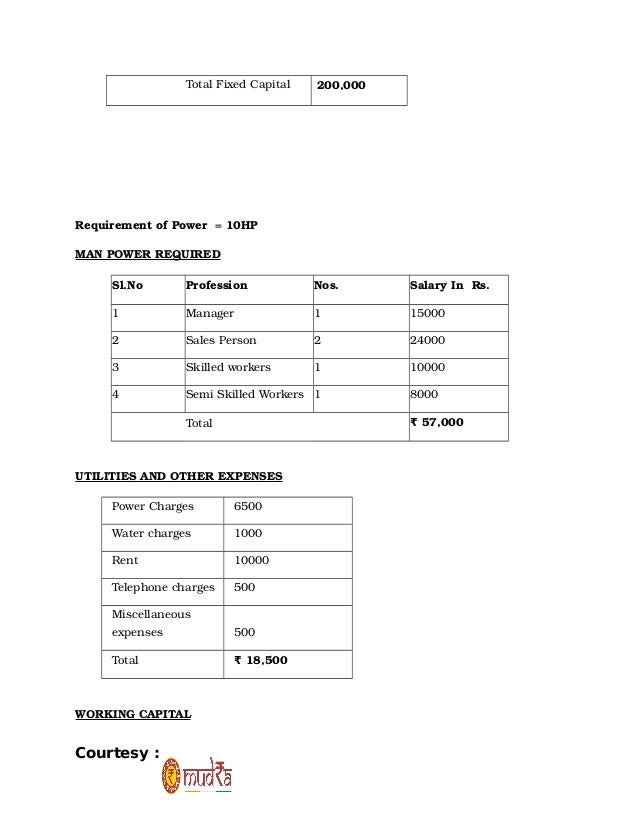 Tomatoprocessing project report MSME.pdf