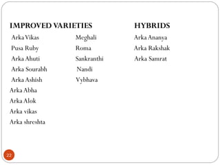Tomato production technology | PPT