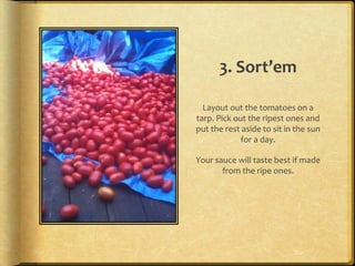 Tomato sauce | PPTX | Cooking | Food & Drink