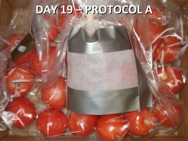 Tomato Shelf Life Testing | PPT