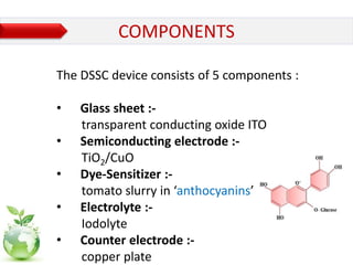 Tomato slurry based dssc by meet moradiya | PPTX