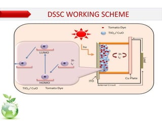 Tomato slurry based dssc by meet moradiya | PPTX