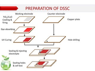 Tomato slurry based dssc by meet moradiya | PPTX