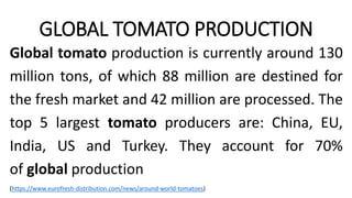 Tomato sps 19_mag_00033 | PPT