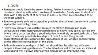 Tomato sps 19_mag_00033 | PPT