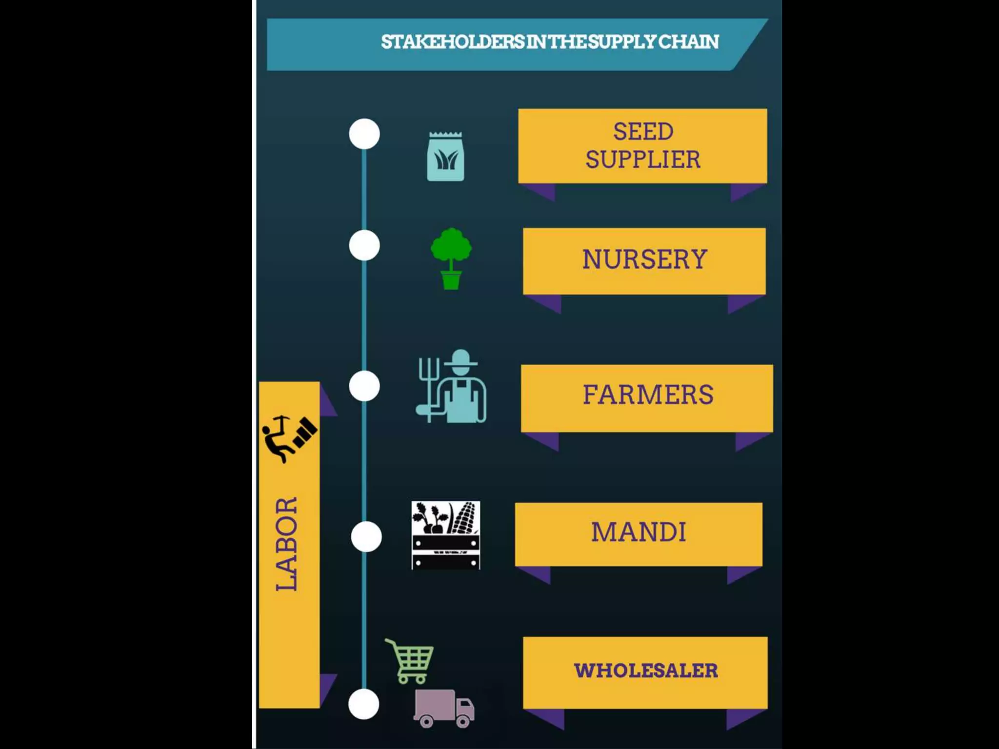Tomato supply chain | PPTX