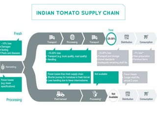 Tomato supply chain | PPTX