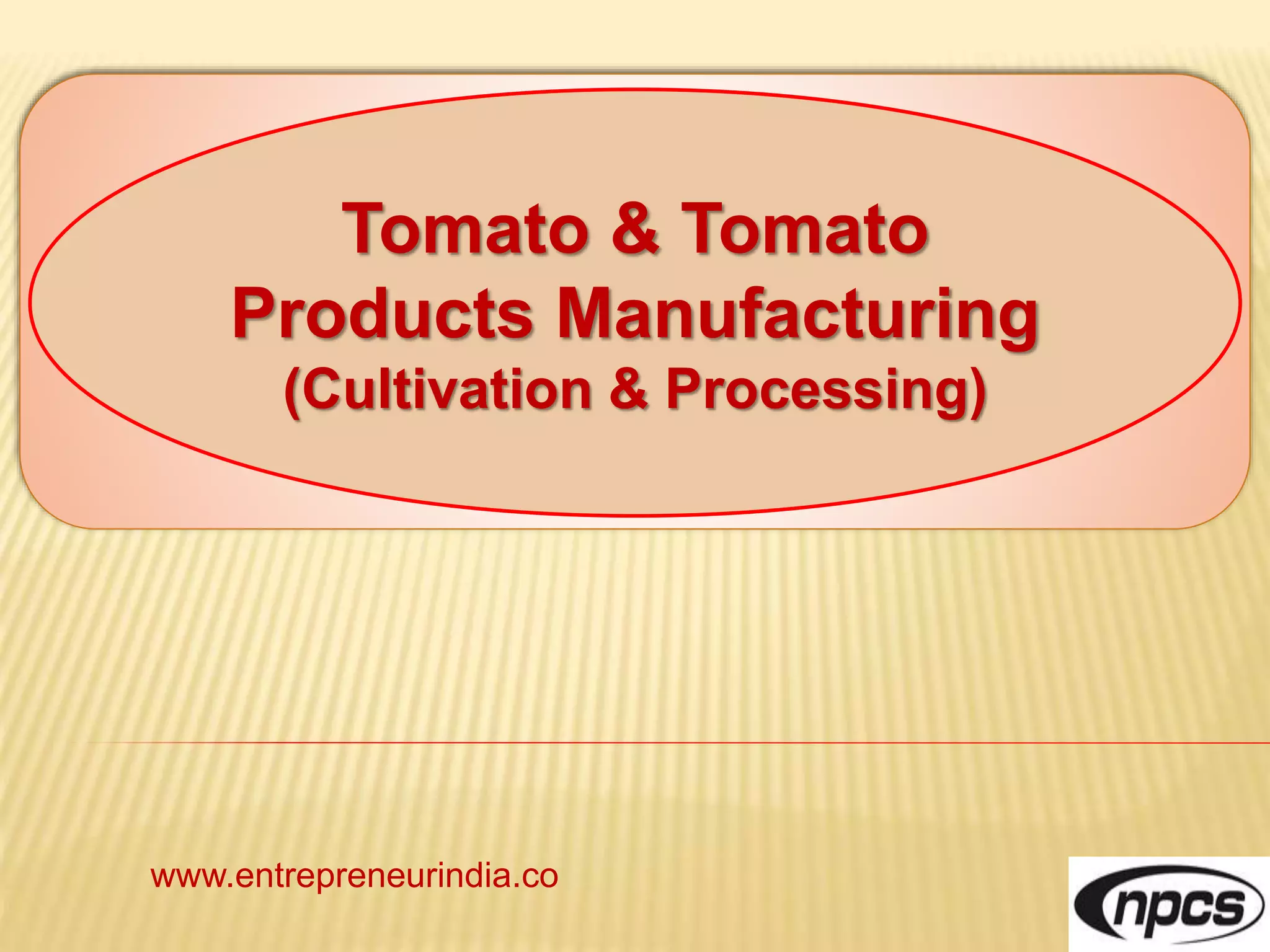 How to start Tomato Products Processing Industry | PPTX