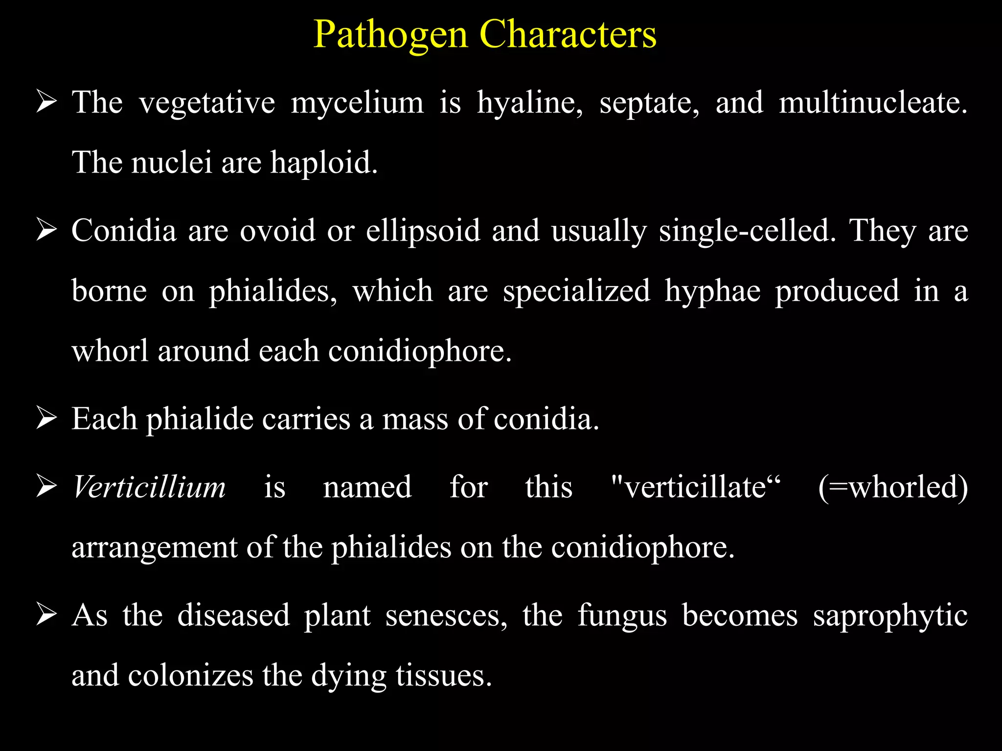 Tomato verticillium wilt | PPTX