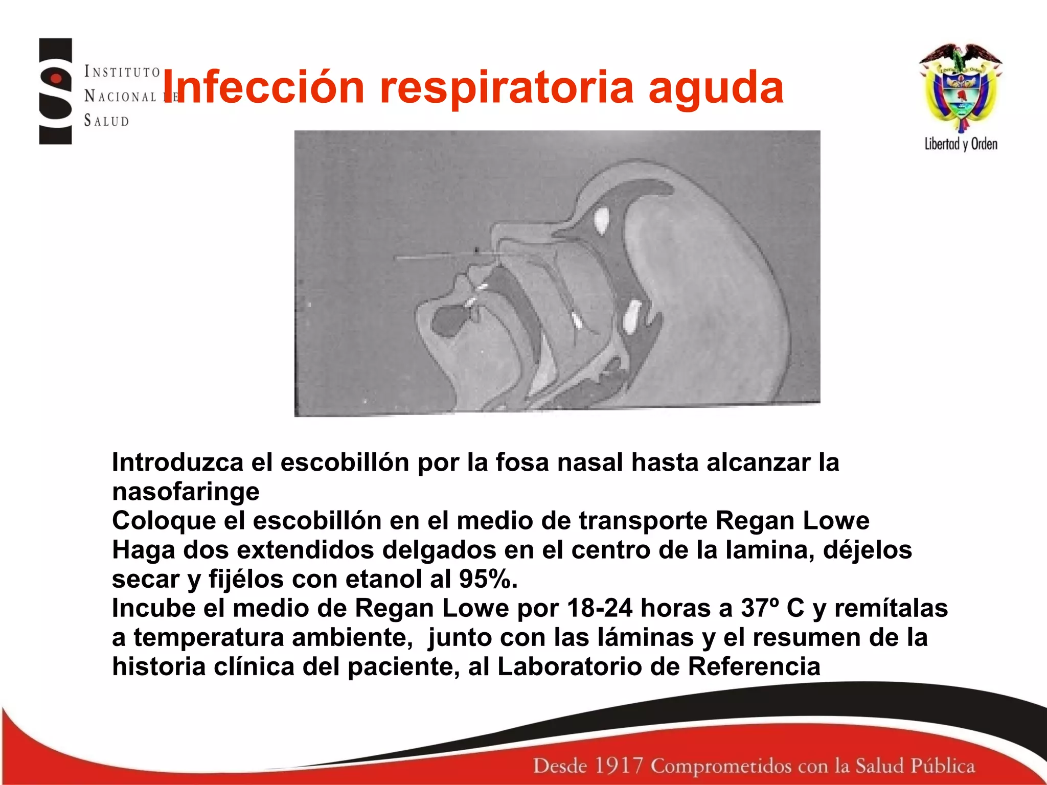 Toma y trnasporte muestras | PPT