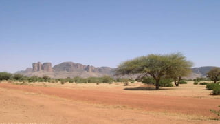 Tombouctou mali afrique occidentale | PPS