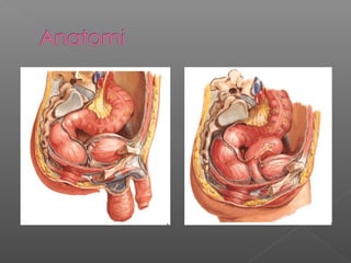 Ca recti Miles operation Abdominalperinealresection | PPT