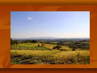 Tomislav Štigler - Osnovni tipovi klima u Hrvatskoj | PPT