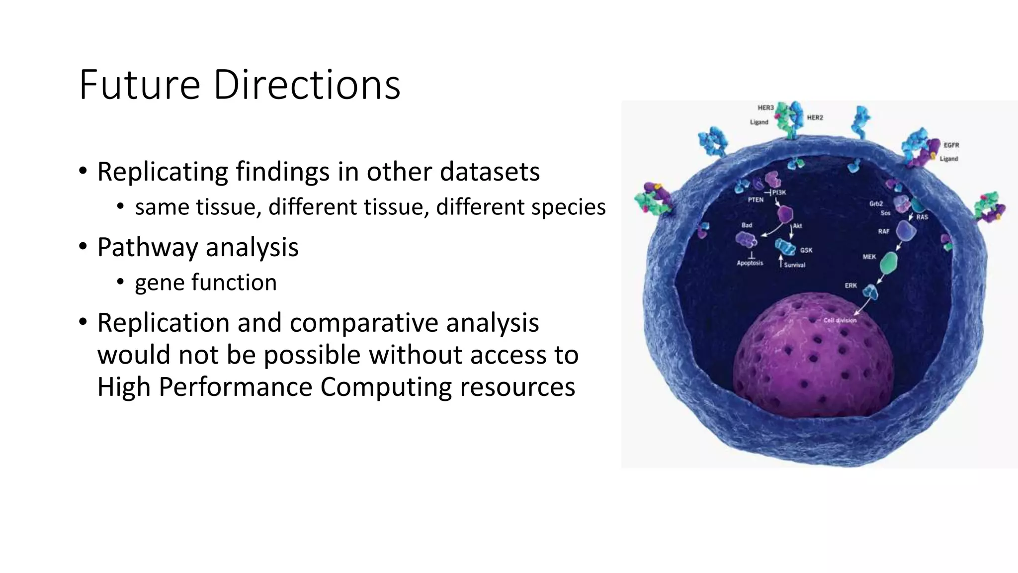 Bioinformatic Analysis of Synthetic Lethality in Breast Cancer | PPTX ...