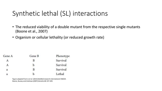 Bioinformatic Analysis of Synthetic Lethality in Breast Cancer | PPT
