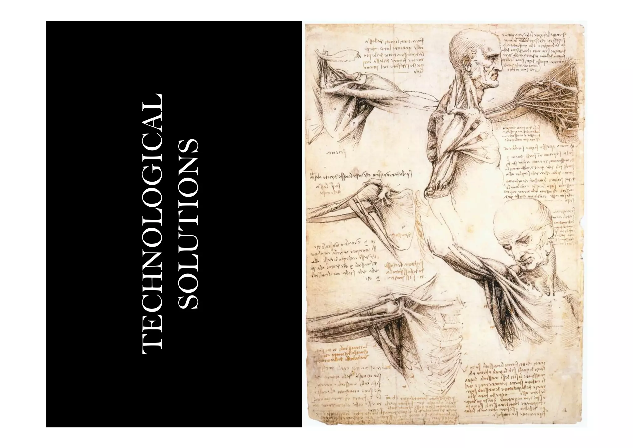 The Anatomy of a High-Frequency Trader: Human and Machine Proportions | PDF