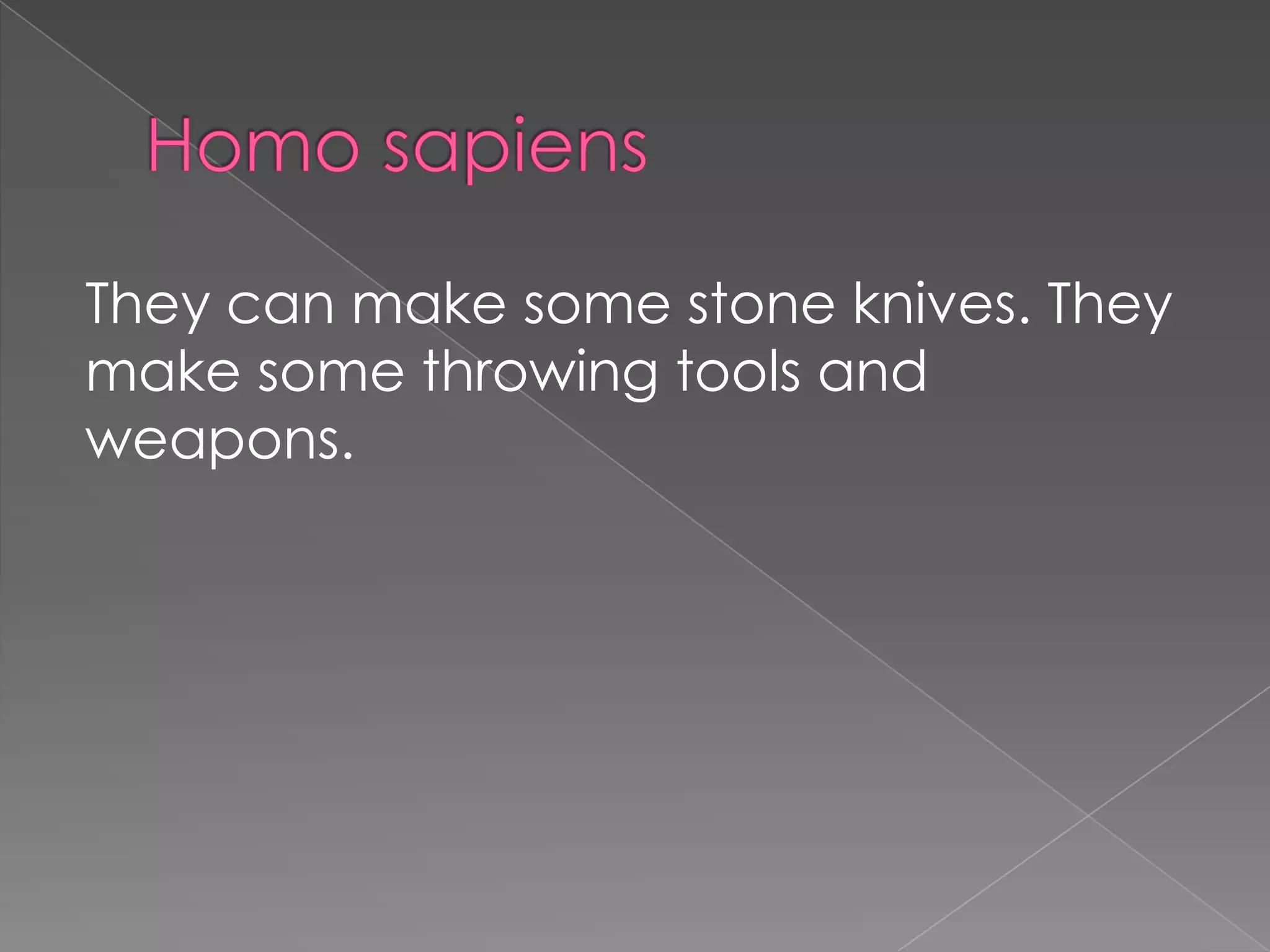 Tommy.x australopithecus afarensis tools | PPT