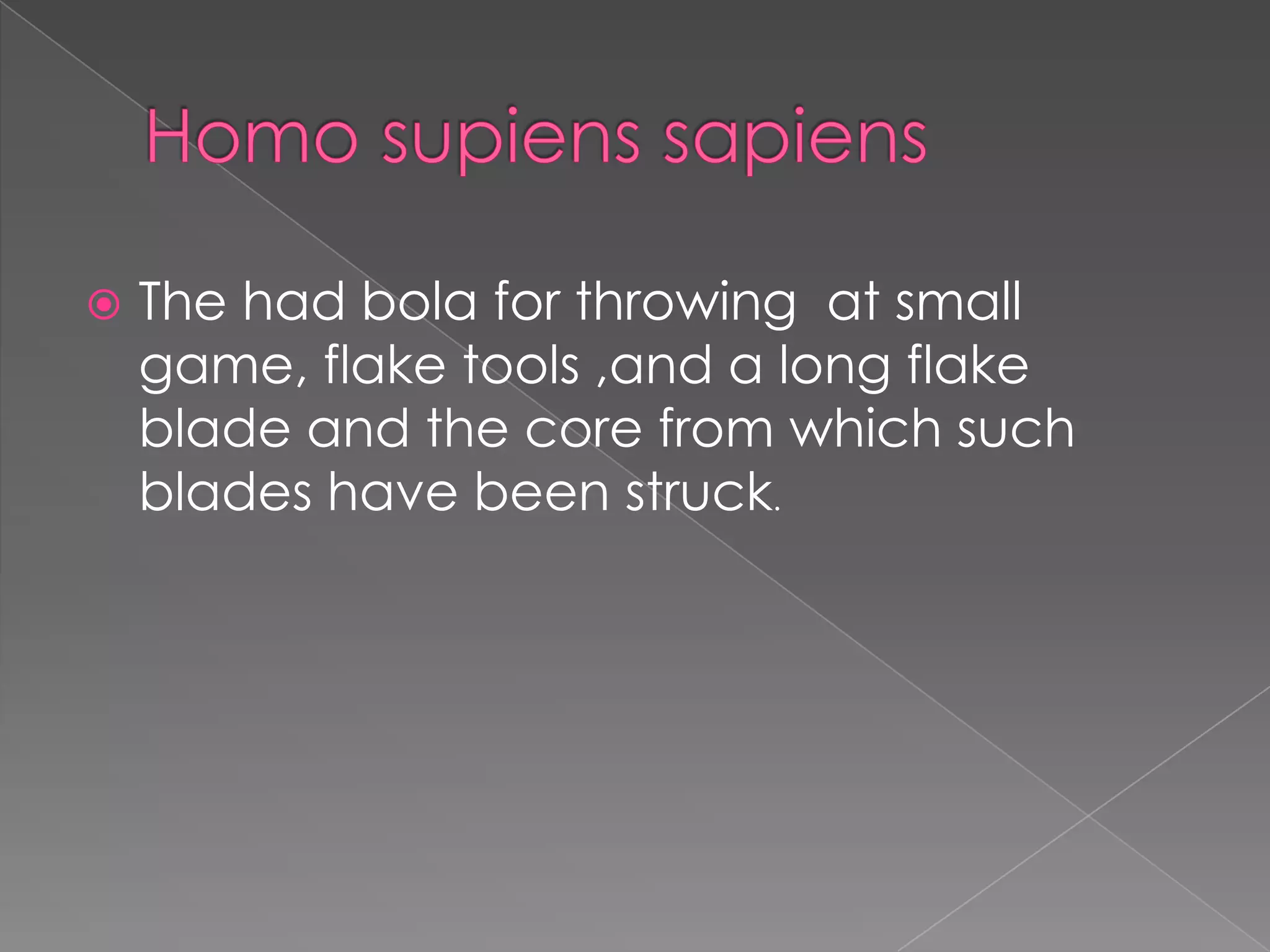 Tommy.x australopithecus afarensis tools | PPT