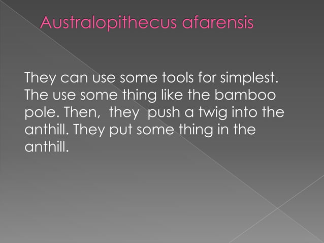 Tommy.x australopithecus afarensis tools | PPT