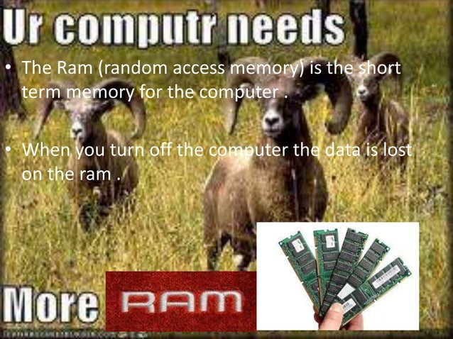 Tommy computer components | PPT