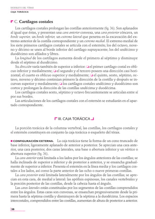 TOMO 2 ROUVIERE.PDFTOMO 2 ROUVIERE.PDF-- | PDF