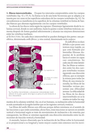 TOMO 2 ROUVIERE.PDFTOMO 2 ROUVIERE.PDF-- | PDF