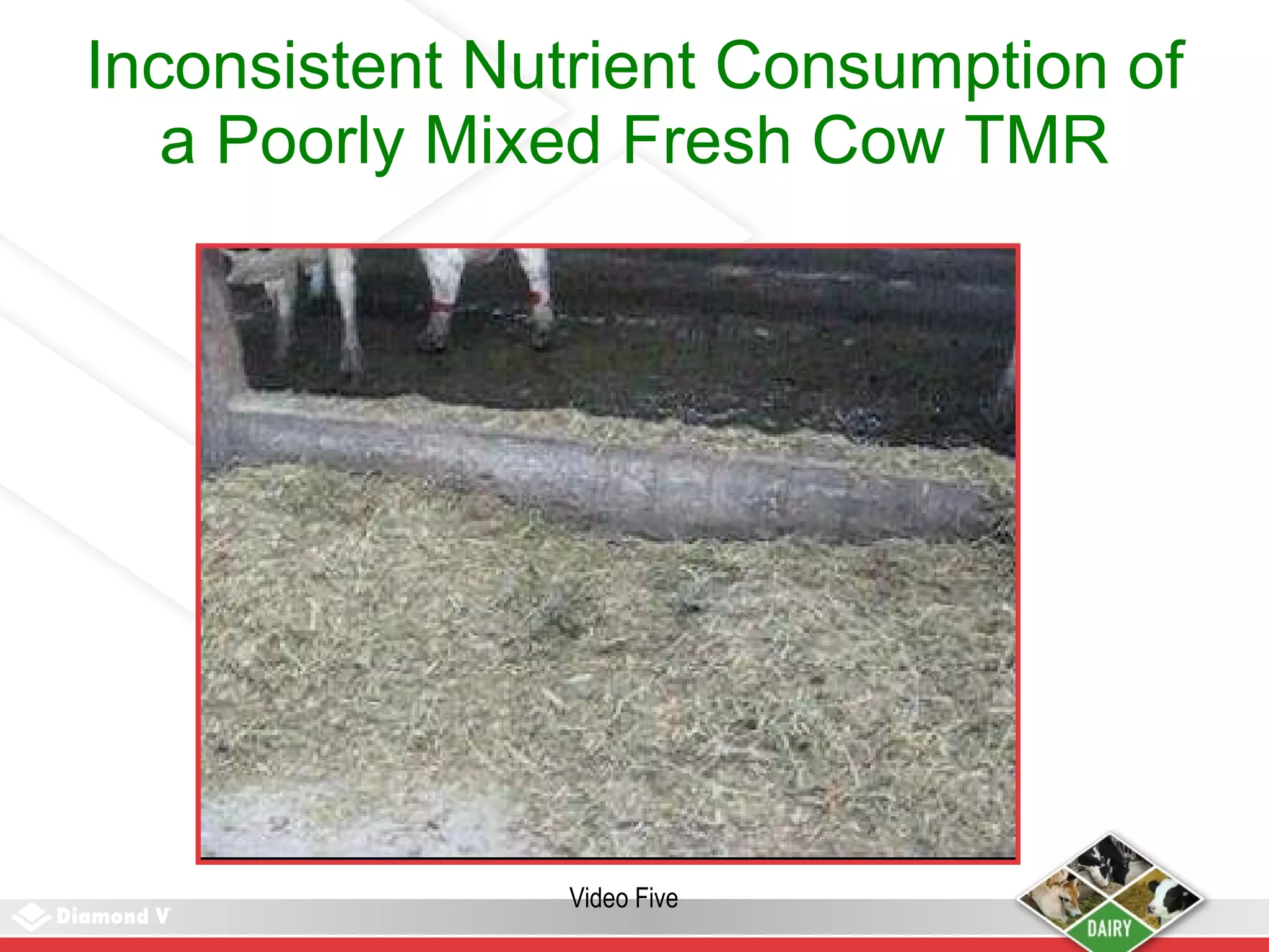Managing TMR Variation | PPT