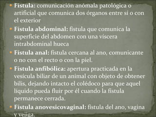 Tomografia y fistulograma | PPT