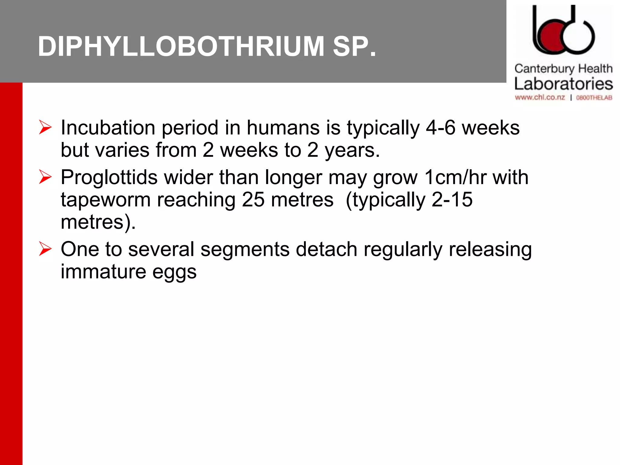 Diphyllobothrium: Homegrown or a Foreign Traveller | PPTX