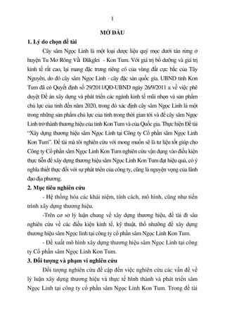 Luận văn: Xây dựng thương hiệu sâm Ngọc Linh của Công ty, 9đ | PDF