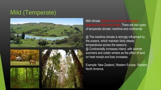 An Ideal Climate | PPT