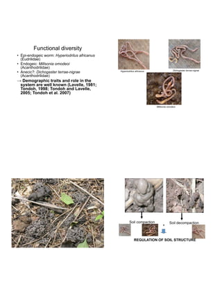 OP10:Ecosystem services of earthworms in agroecosystems | PDF