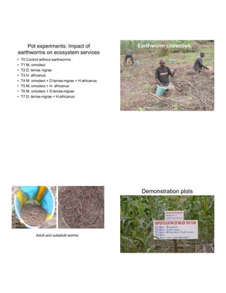OP10:Ecosystem services of earthworms in agroecosystems | PDF