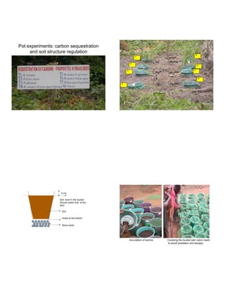 OP10:Ecosystem services of earthworms in agroecosystems | PDF