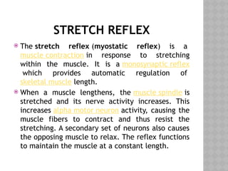 Muscle tone and stretch reflex and grading.ppt