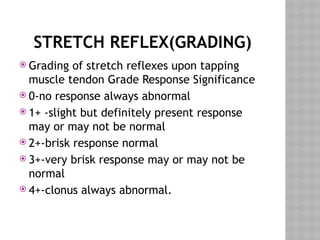 Muscle tone and stretch reflex and grading.ppt