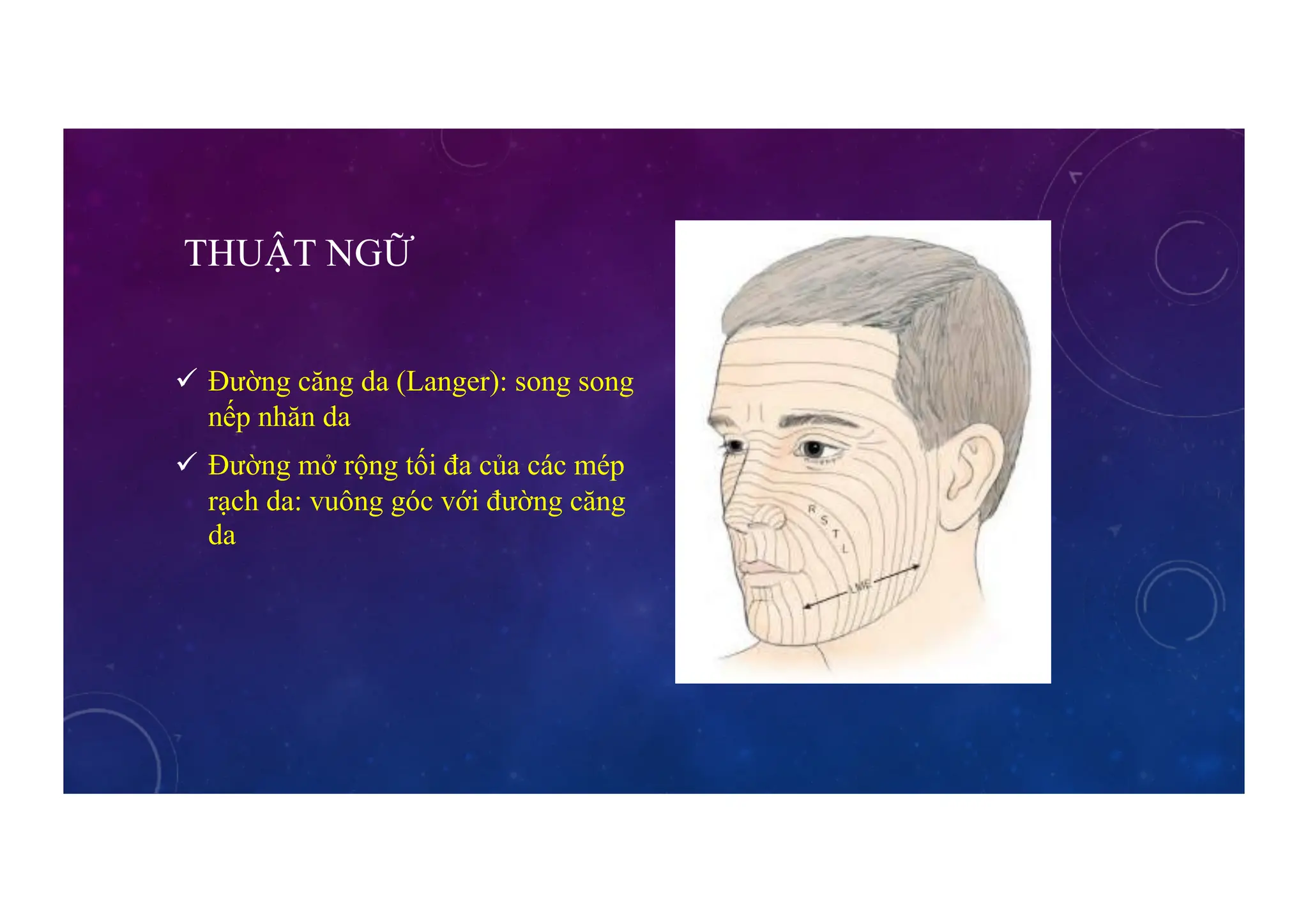 tong-quan-cac-vat-da-tai-cho-vung-co-mat.pdf