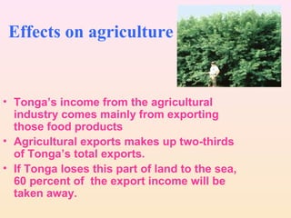 Tonga edit sept 06 2012 tonga global warming sea level rise | PPT