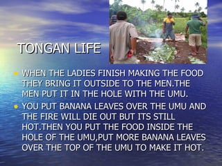 Tongan Umu Instructions | PPT