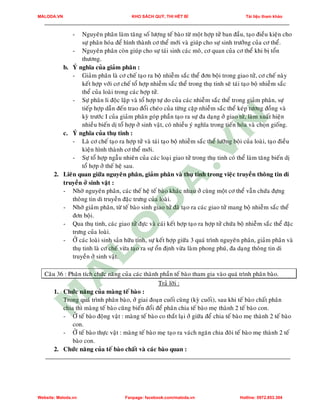Trọn bộ kiến thức Lý thuyết Sinh học cho học sinh THPT | PDF