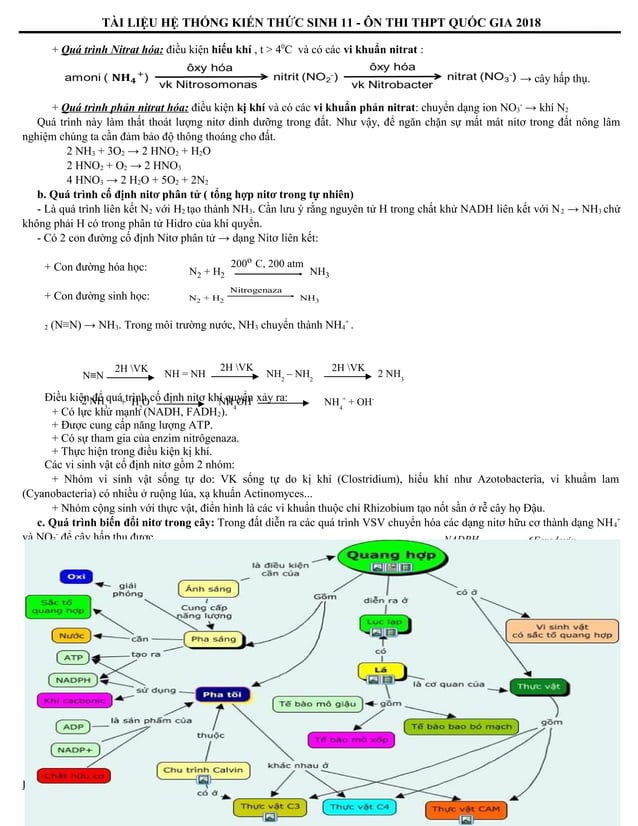 Tong hop ly thuyet sinh 11 on thpt qg 2018 chuan | DOC