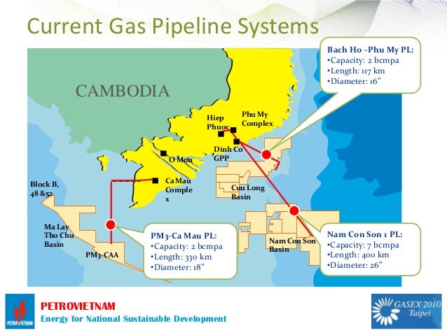Tong quan duong ong khi vn