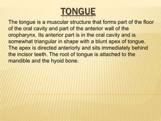 Tongue | PPT