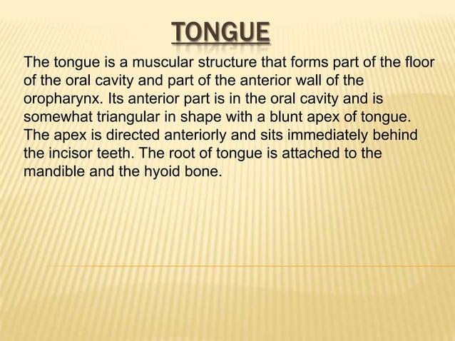 Tongue | PPT