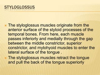 Tongue | PPT