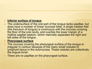 Tongue | PPTX