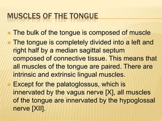 Tongue | PPTX