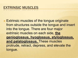 Tongue | PPT