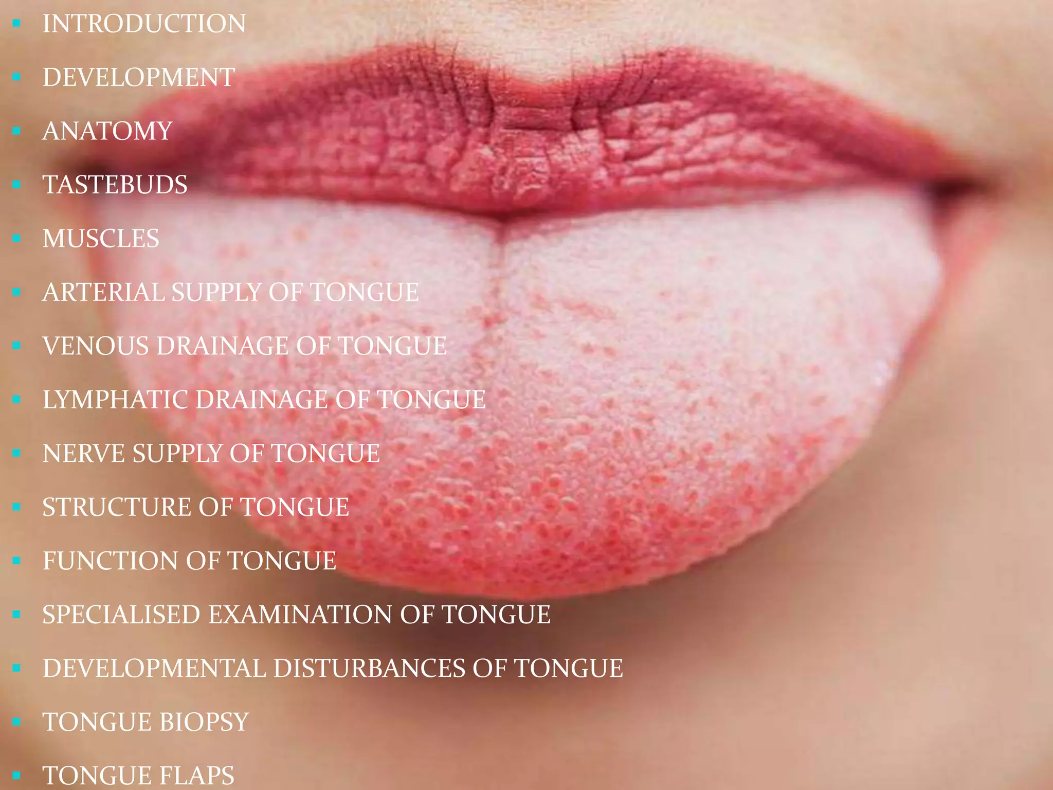 The Tongue. Everything about it. | PPTX
