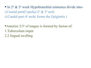 Tongue anatomy & diseases | PPT